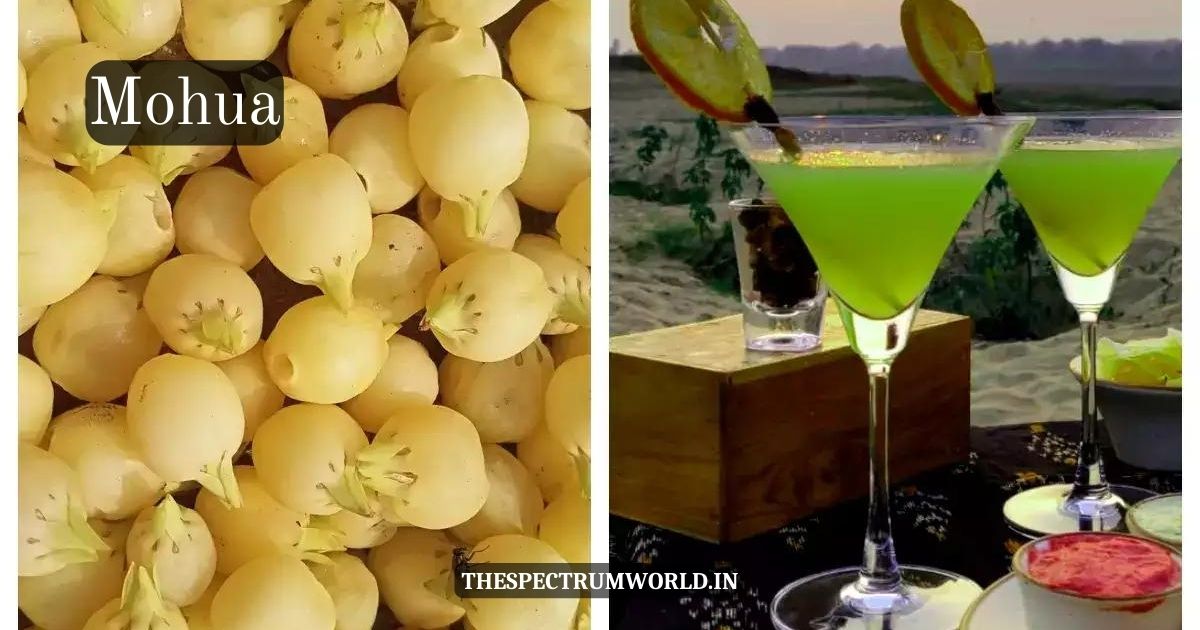 10 Famous Delicacies of West Bengal » The Spectrum World (2026)